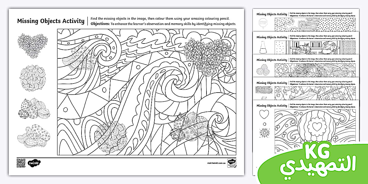 Missing Objects Activity (teacher made) - Twinkl