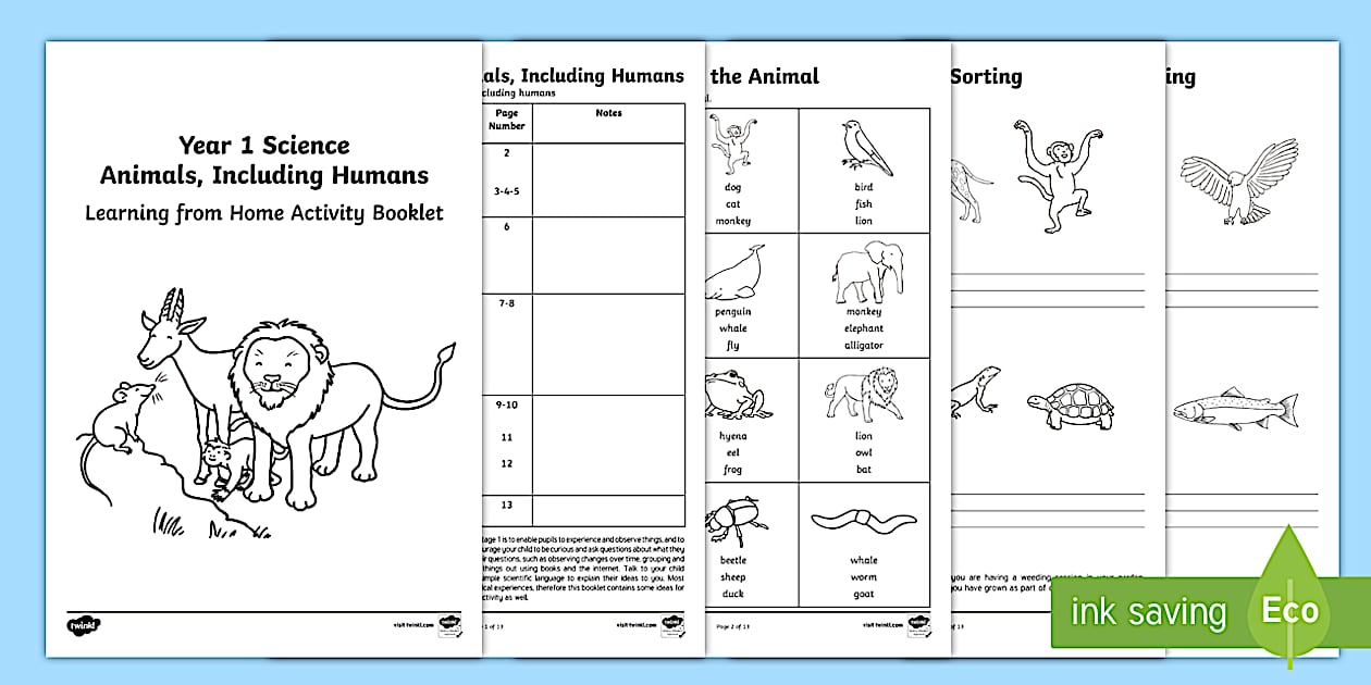 Science: Animals (and Humans) Activity Booklet Ages 5-6