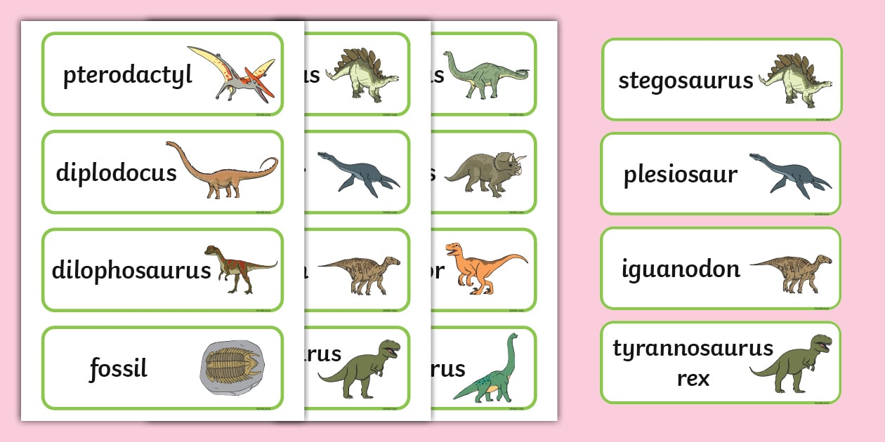 Dinosaur Vocabulary Words For Preschoolers | Word Cards