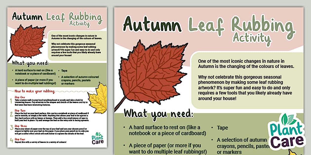 Autumn Leaf Rubbing Activity (teacher made) - Twinkl