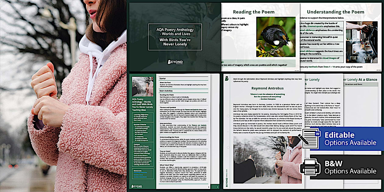 With Birds You’re Never Lonely | Beyond Lesson Pack