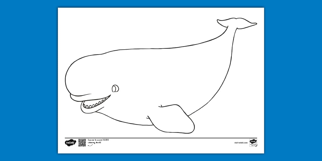 Whale Colouring Pages | Colouring Sheets (Teacher-Made)