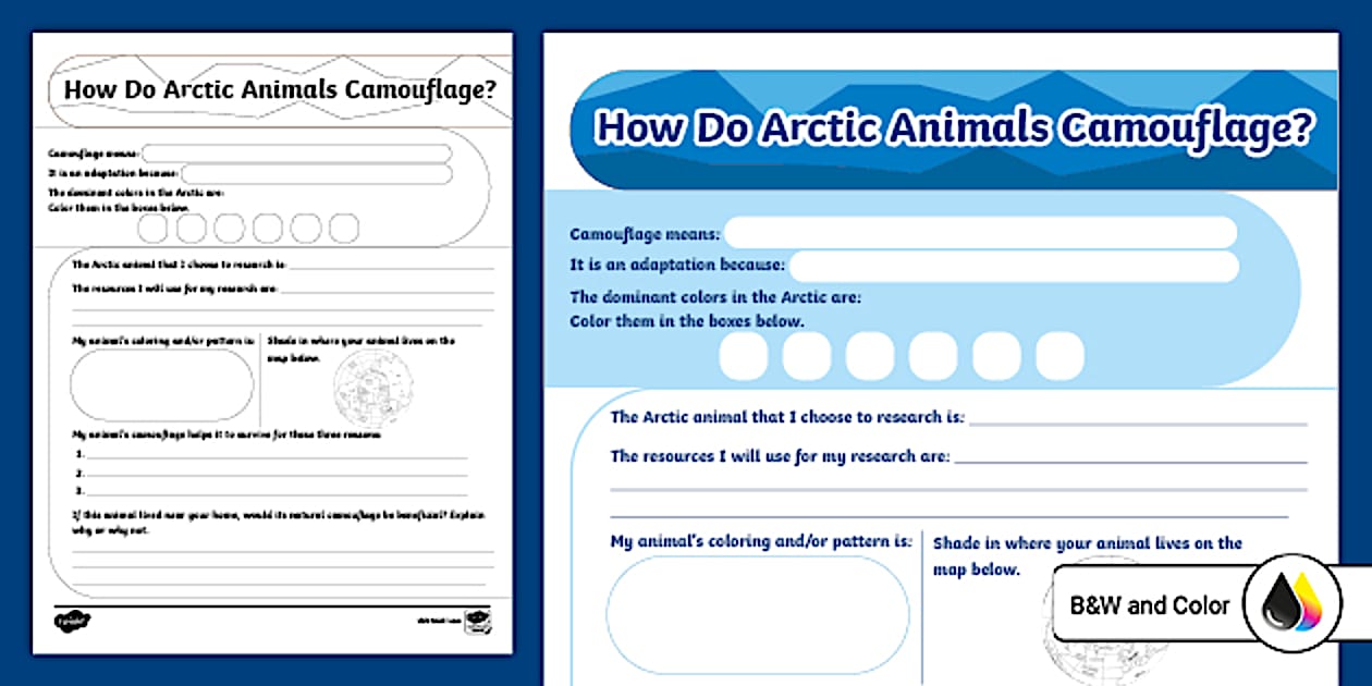 How Do Arctic Animals Camouflage? Science Research Worksheet
