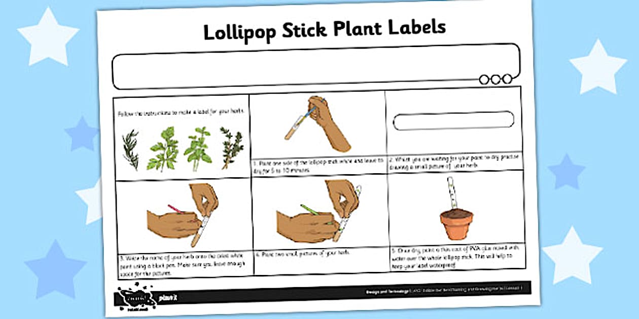 Lollipop Stick Plant Labels Worksheet / Worksheet - Twinkl