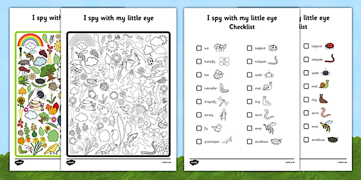 Minibeast Themed I Spy With My Little Eye Activity