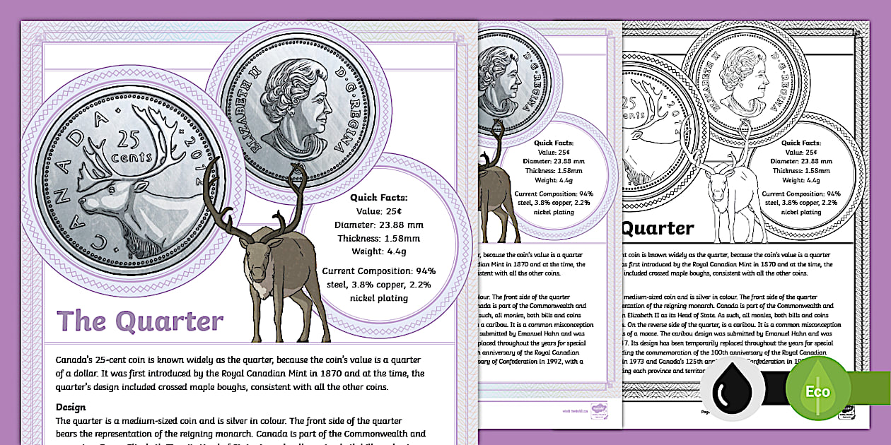 Facts about the Quarter | Fact File | Twinkl CA - Twinkl