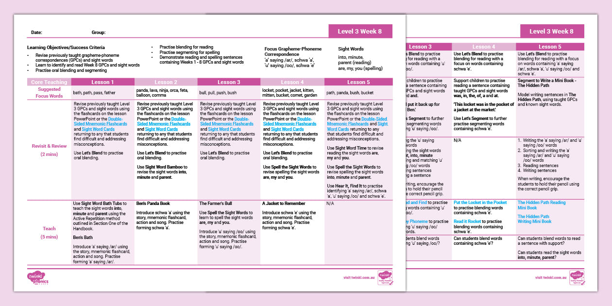Twinkl Phonics Level 3 Week 8 Lesson Plan