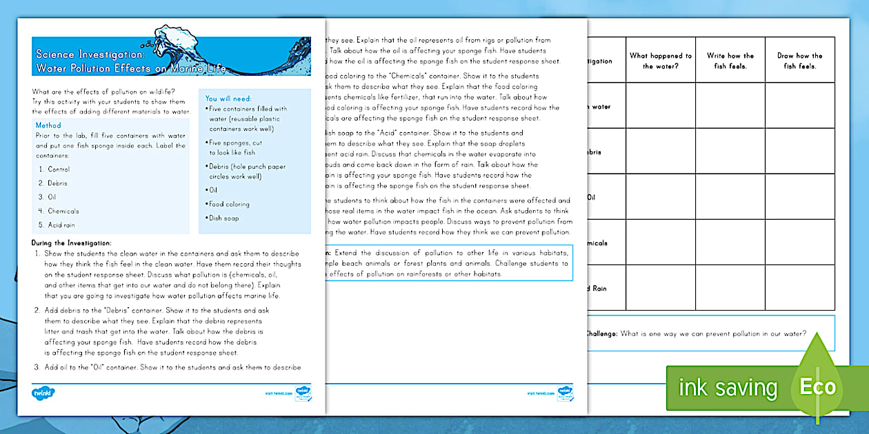 How Does Water Pollution Effect Wildlife? Lab Science Experiment for K-2nd
