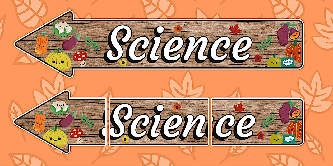 Autumn-Market Themed Science Display Banner (teacher made)