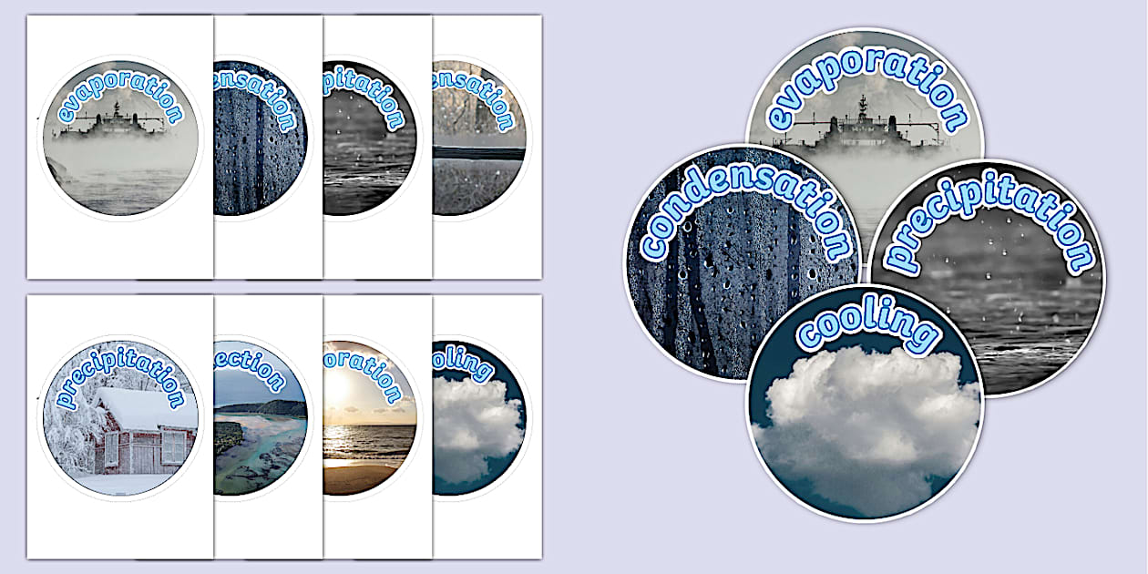 Water Cycle Circle Display Photo Cut-Outs (teacher made)