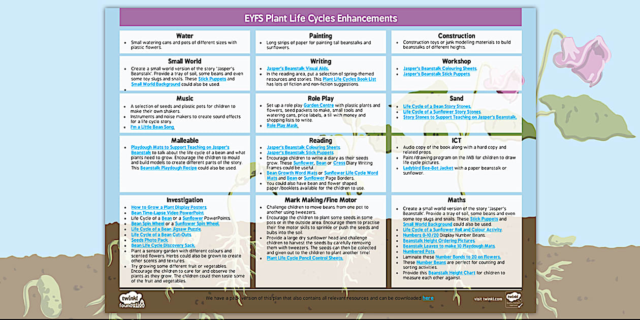 EYFS Plant Life Cycles Enhancement Ideas (teacher made)