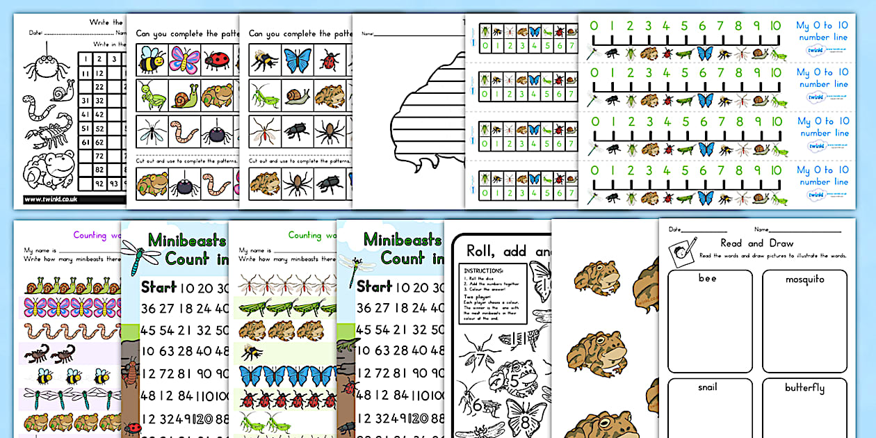 Minibeasts Maths Resource Pack (teacher made) - Twinkl