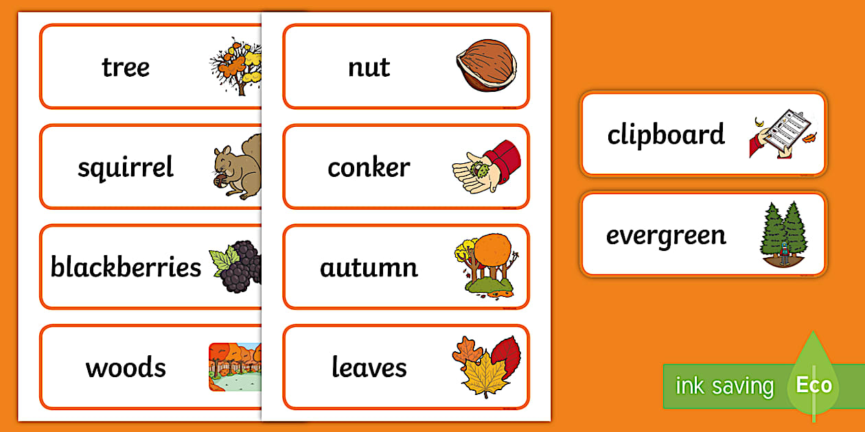 A Sense of Autumn Word Cards