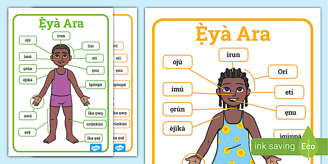 Parts of the Body in Yoruba, Yoruba parts of the body