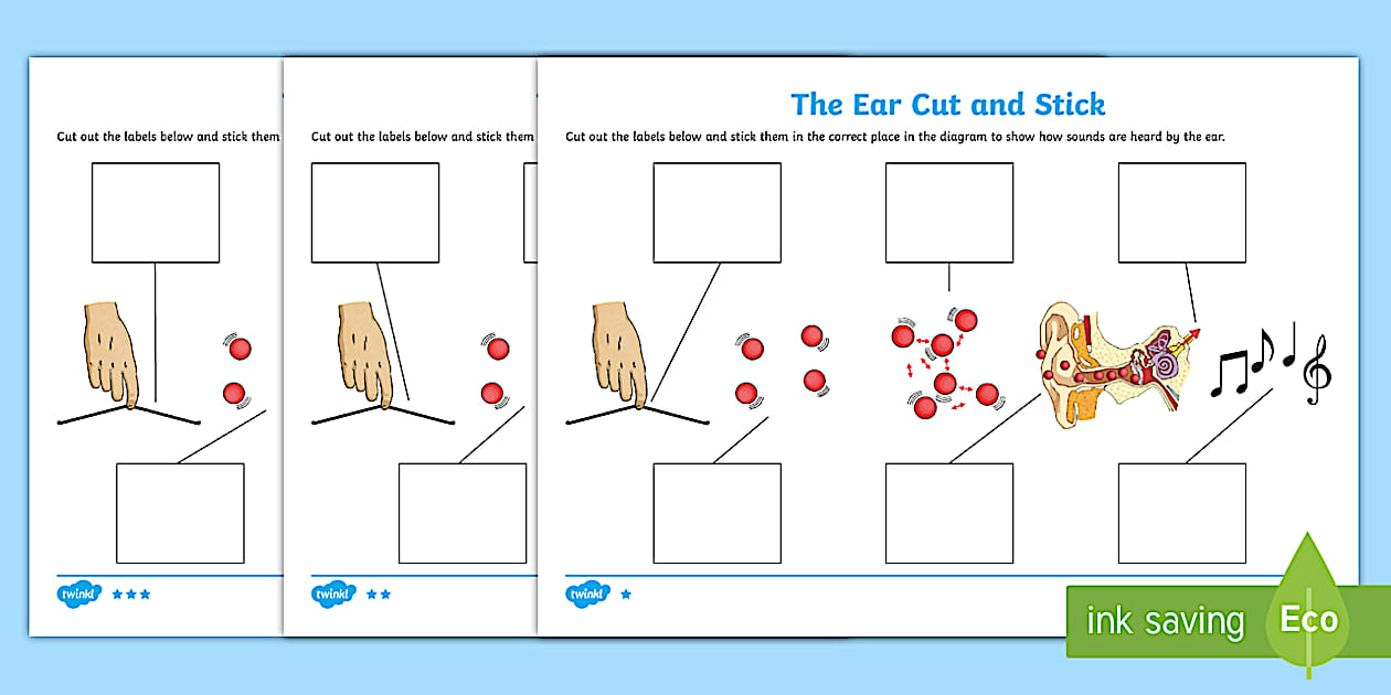 The Ear Cut and Stick Worksheet - Twinkl
