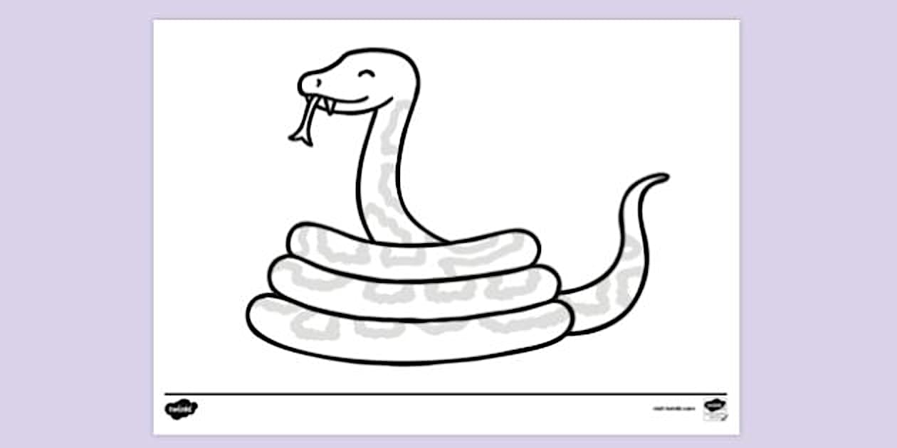 Corn Snake Colouring Sheet Colouring | Colouring Sheets