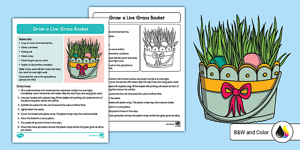 Easter Baskets Grass | Easter Sunday | Twinkl USA