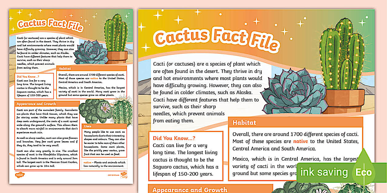 KS2 Cactus Fact File (teacher made) - Twinkl