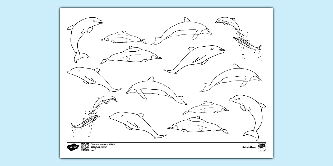 Cutest Dolphin Doodle Colouring Sheet (teacher made)