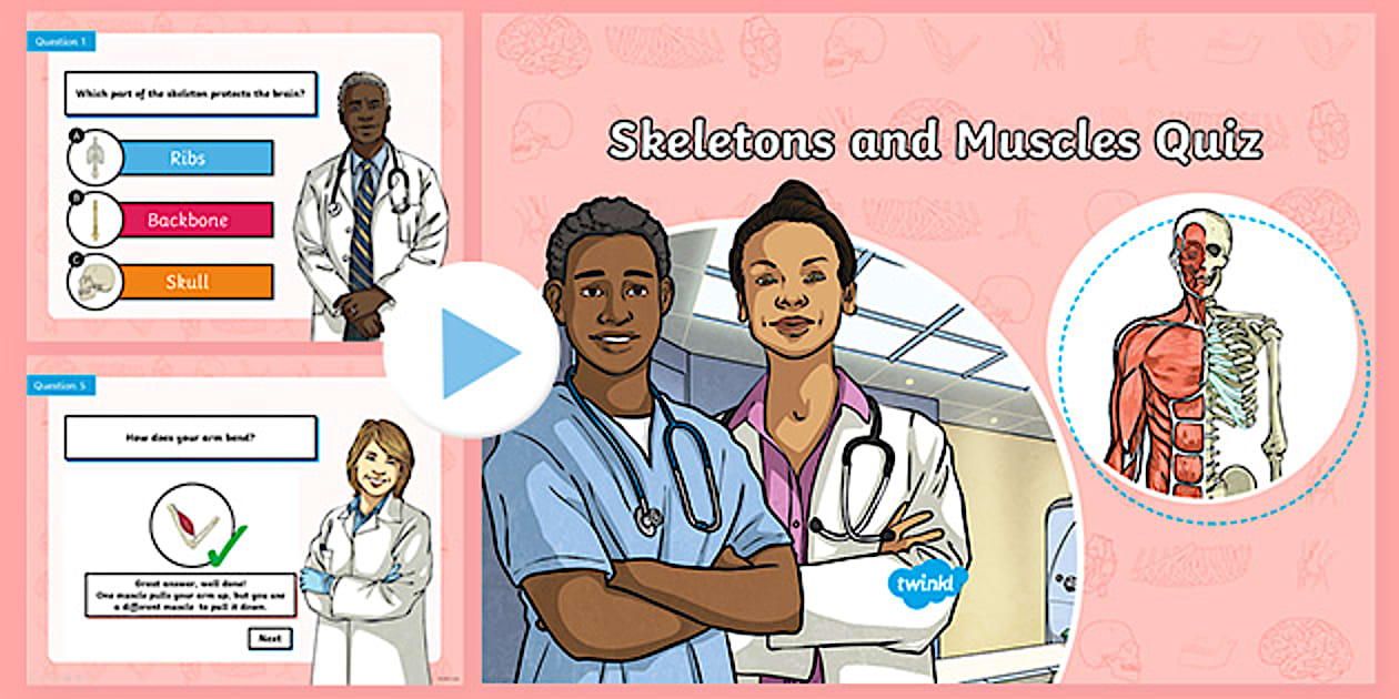 Skeletons and Muscles Quiz PowerPoint: KS2 Science - Twinkl