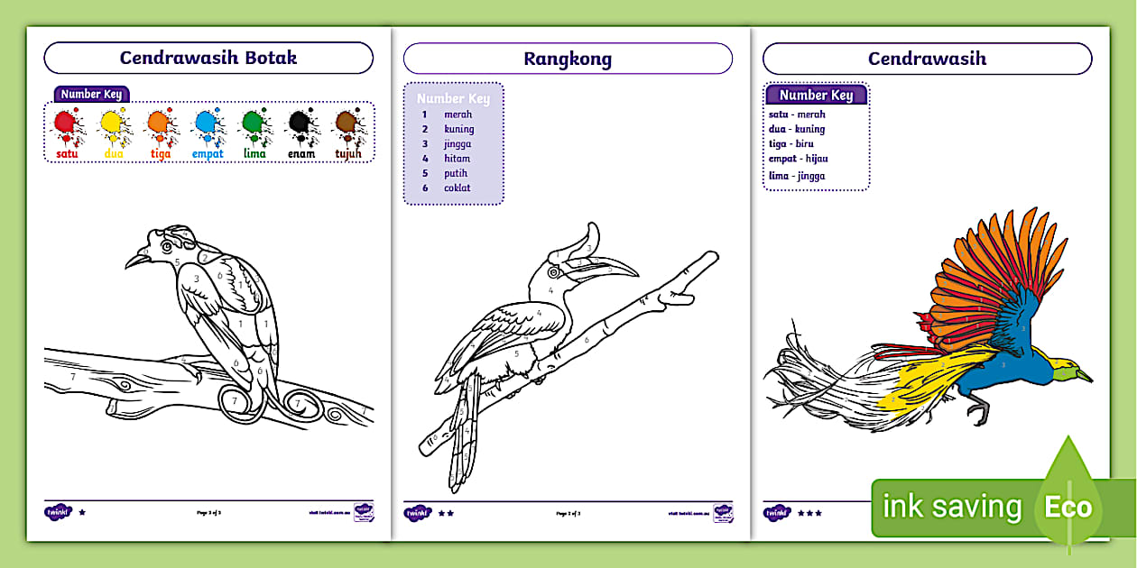 Indonesian Birds Colour by Numbers Differentiated - Twinkl