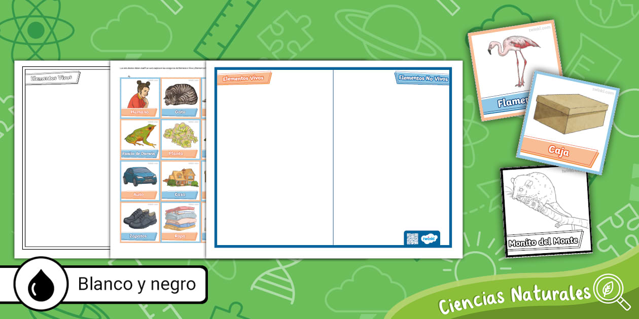 Elementos Vivos | No Vivos | Seres Vivos | Inertes | 4°