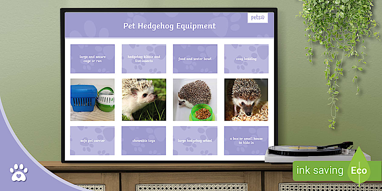 Pet Hedgehog Equipment - Fact Sheet - Hedgehog Week - Pets
