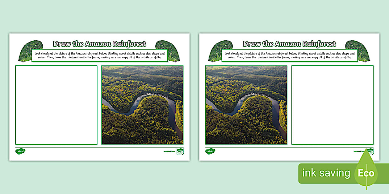 Draw the Amazon Rainforest Art Activity (teacher made)