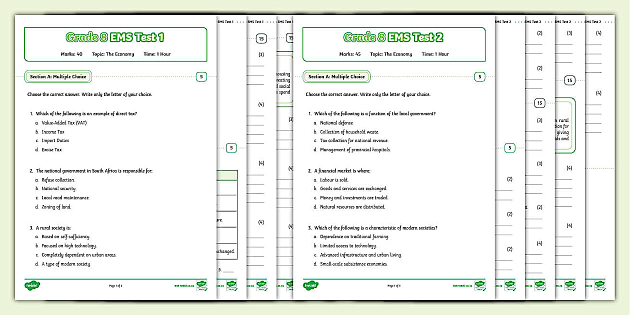 The Economy Grade 8 Test Term 2