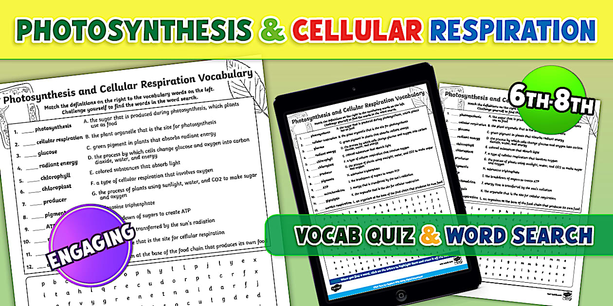 Photosynthesis and Cellular Respiration Vocabulary Matching