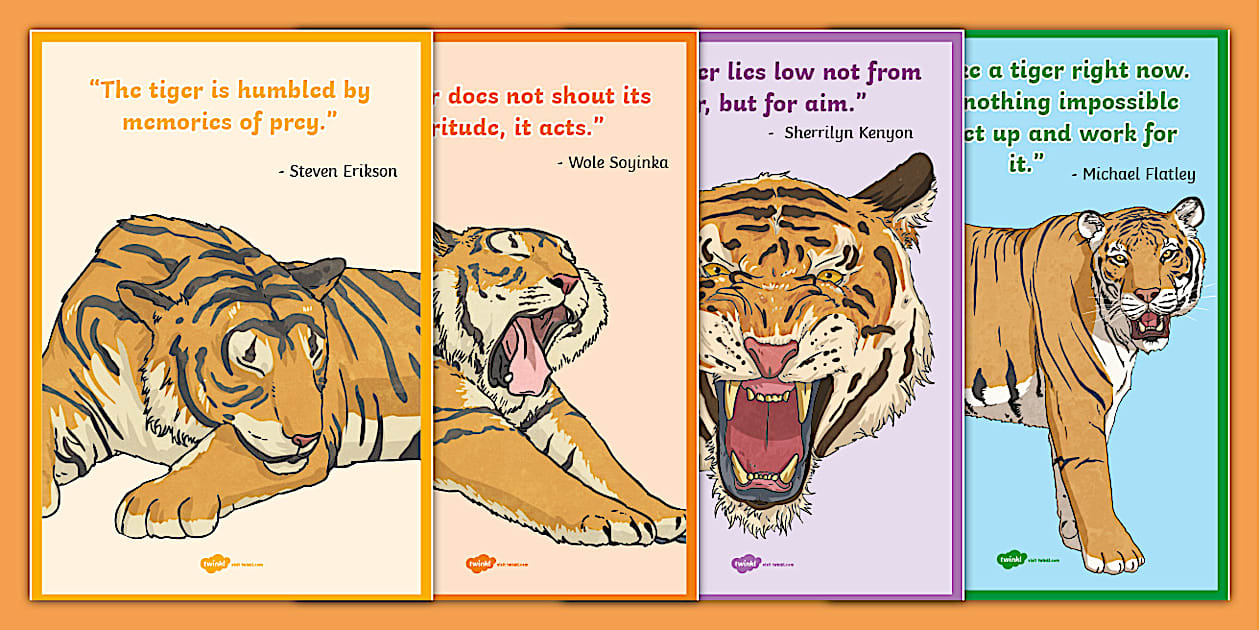 Tiger Quotations Display Posters (teacher made) - Twinkl