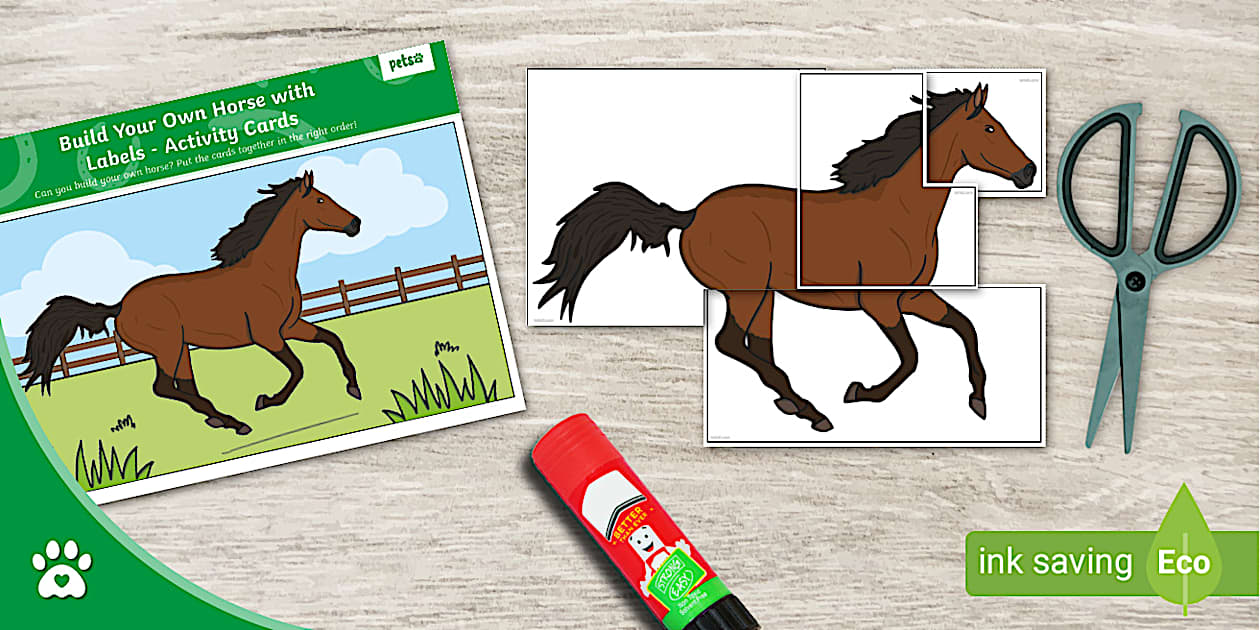 Build Your Own Horse - Activity Cards - Pony - Twinkl Pets
