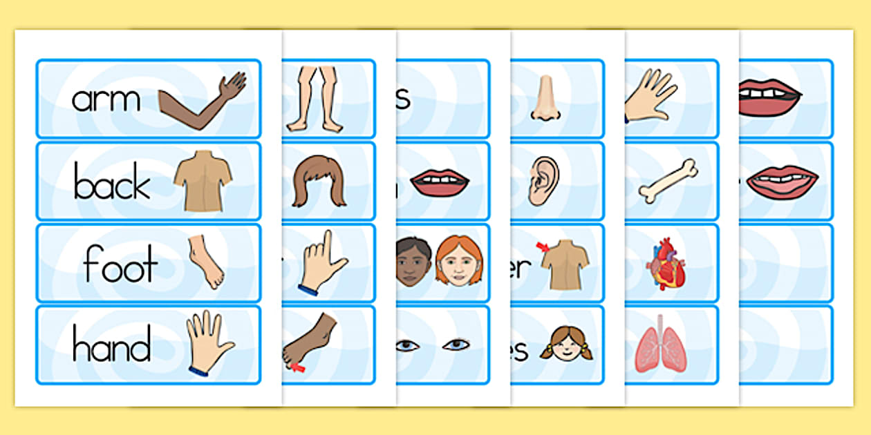 Parts Of The Body Topic Words (teacher made) - Twinkl