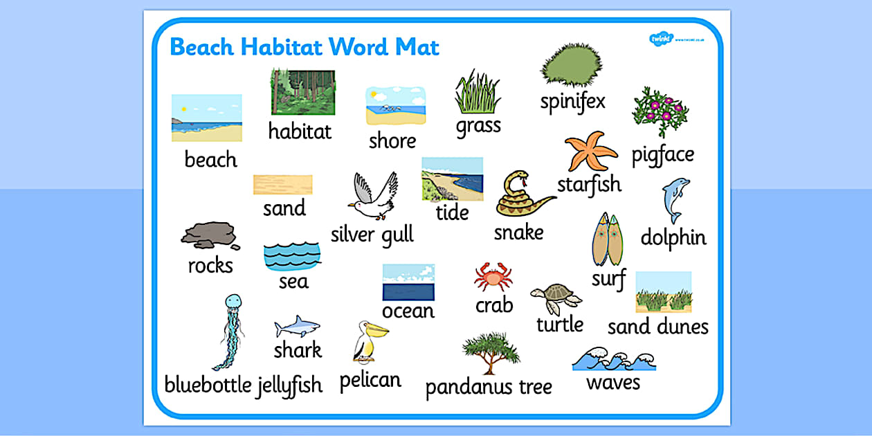Dyslexic Australian Beach Habitat Word Mat (professor feito)
