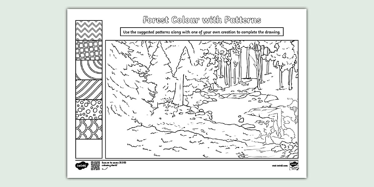 Forest Colour with Patterns Activity (teacher made) - Twinkl