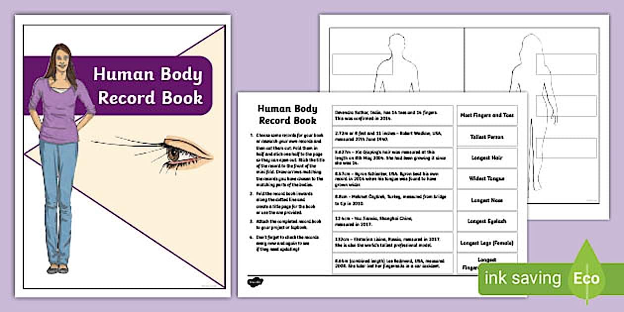 Human Body Record Book - Twinkl