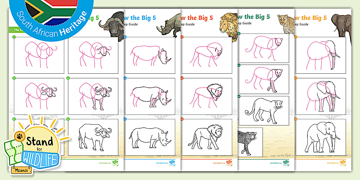 How to Draw the Big Five - Step By Step Guide (teacher made)