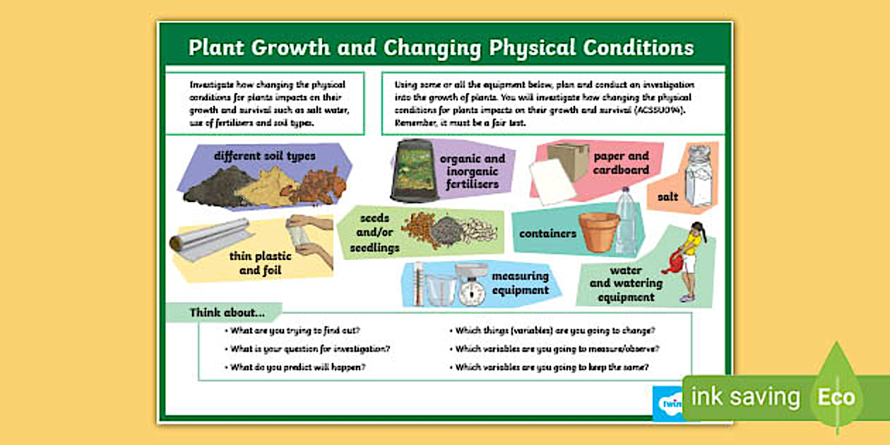 Investigating Plant Growth Activity (teacher made) - Twinkl