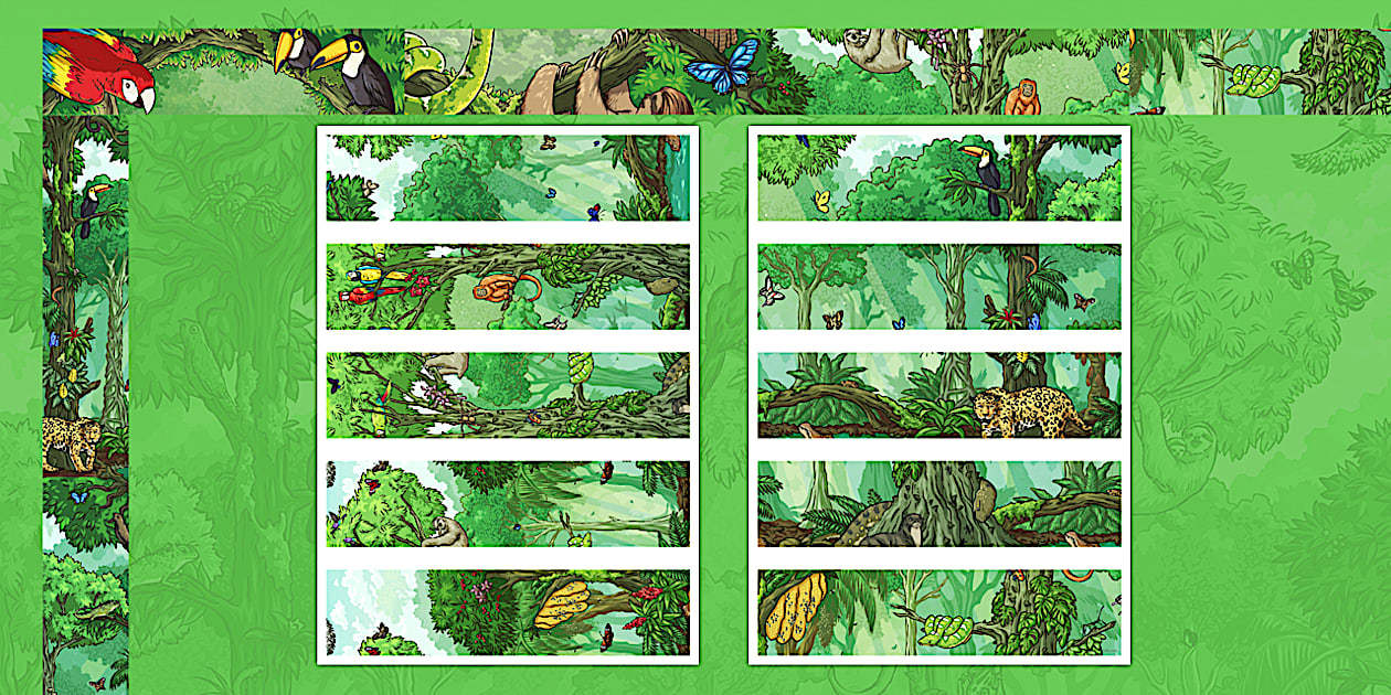 The Rainforest Display Borders (teacher made) - Twinkl