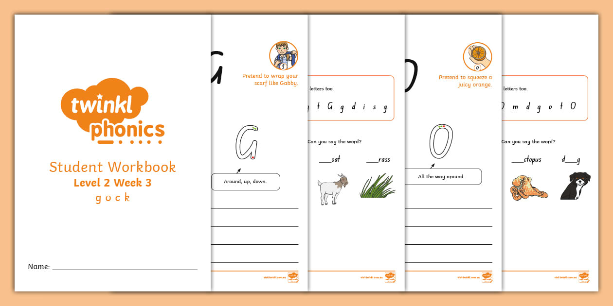 'g, o, c, k' Level 2 Week 3 Phonics Workbook | Twinkl
