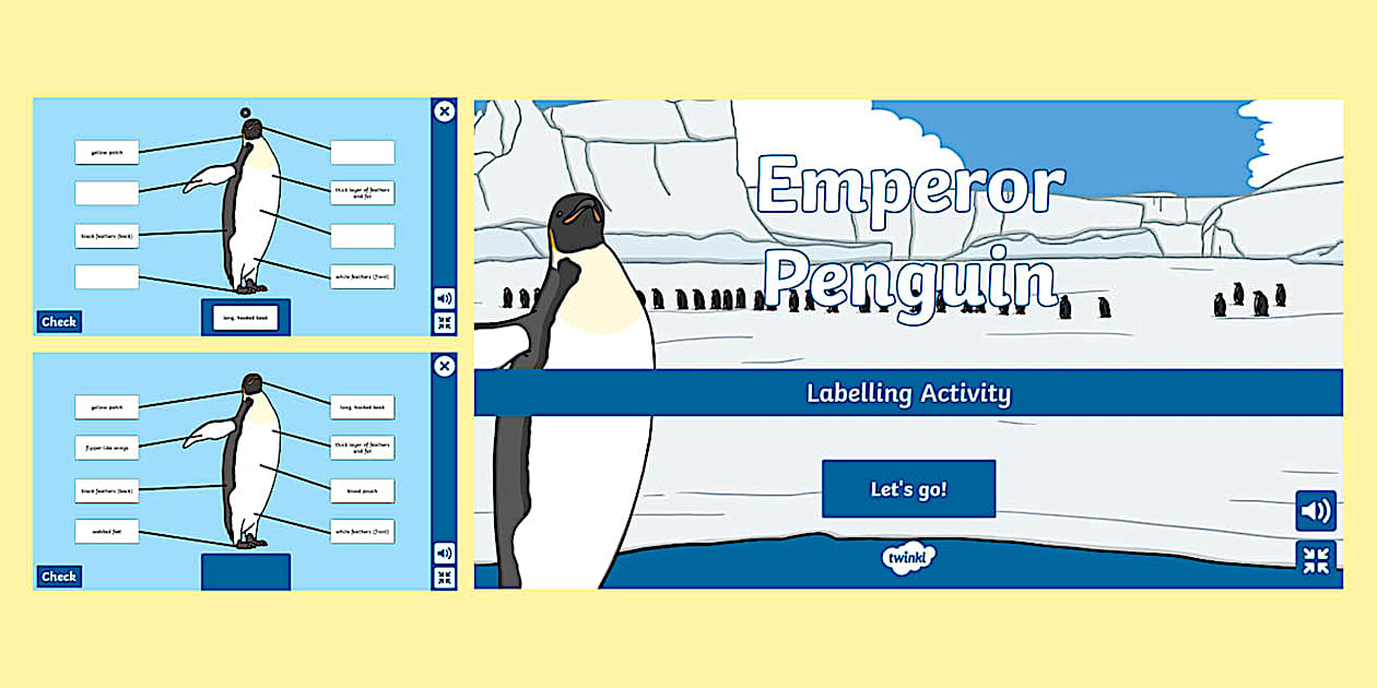 Emperor Penguin Interactive Labelling Activity - Twinkl