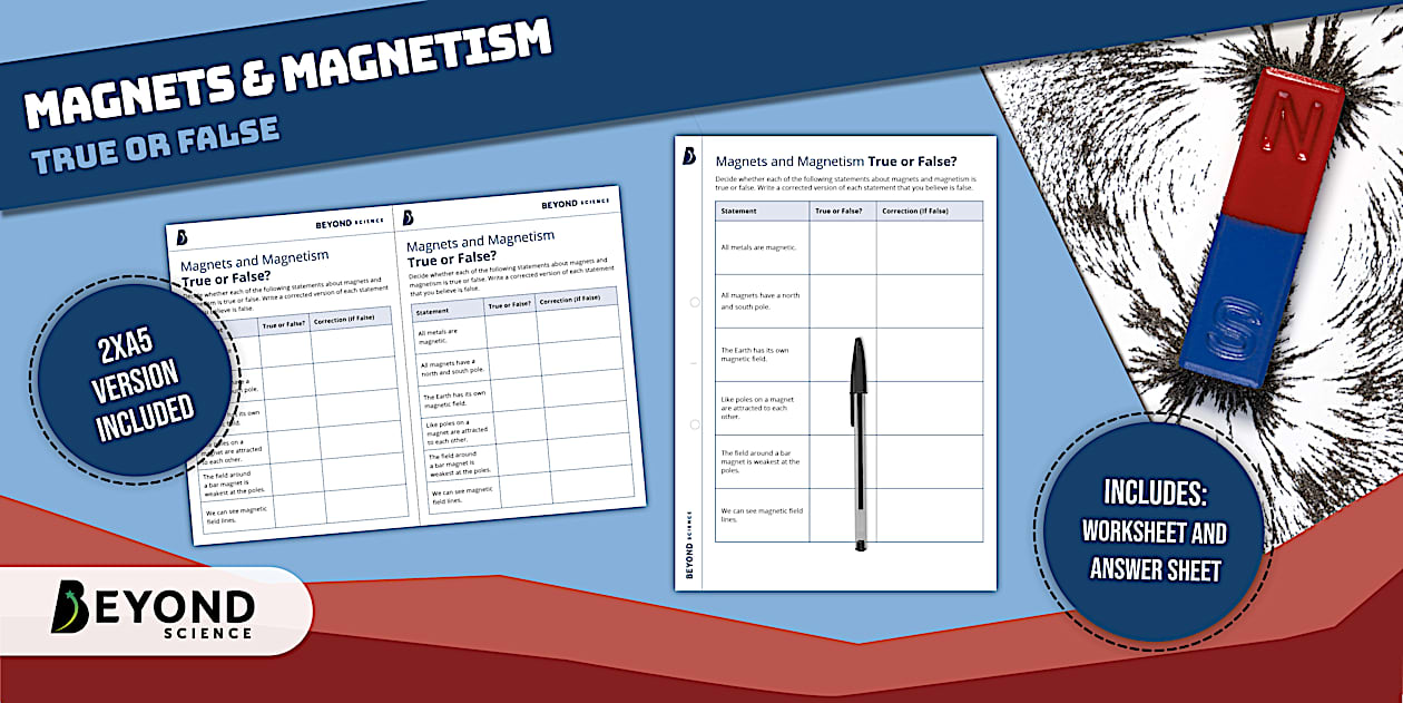 Magnets & Magnetism True or False Activity | Beyond Science
