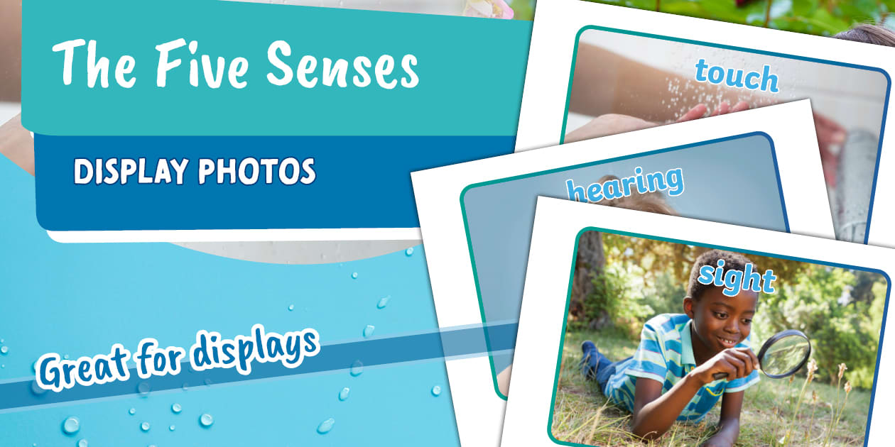 Five Senses Pictures | Display Photos | Twinkl South Africa