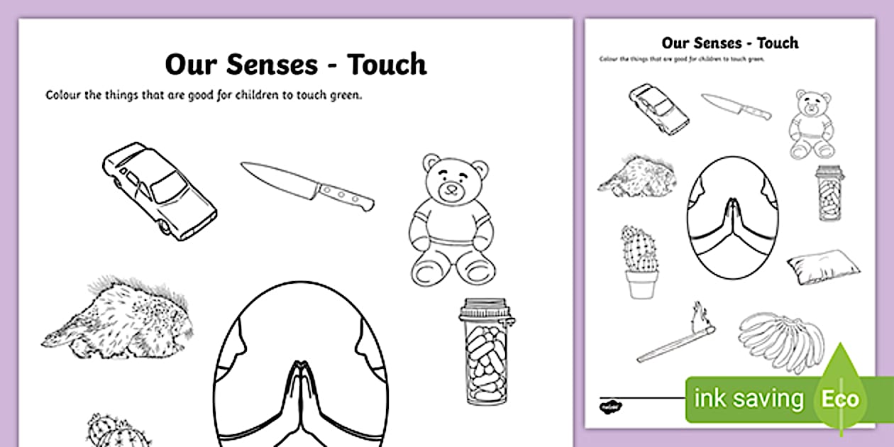 Our Senses - Touch (صُمم من قبل مُختصّين)