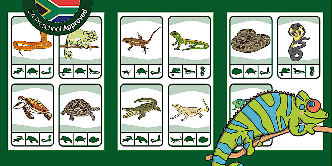 Reptiles: Shadow Matching Clip Cards (teacher made) - Twinkl