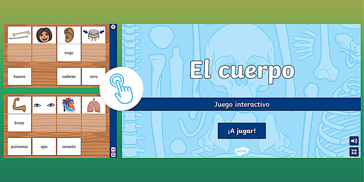 Juego interactivo: El cuerpo humano (teacher made) - Twinkl