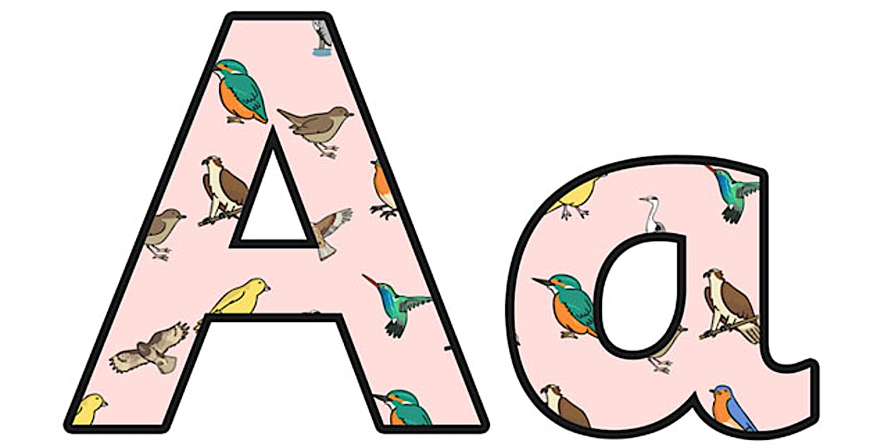 Classification Small Lowercase Display Lettering - Twinkl