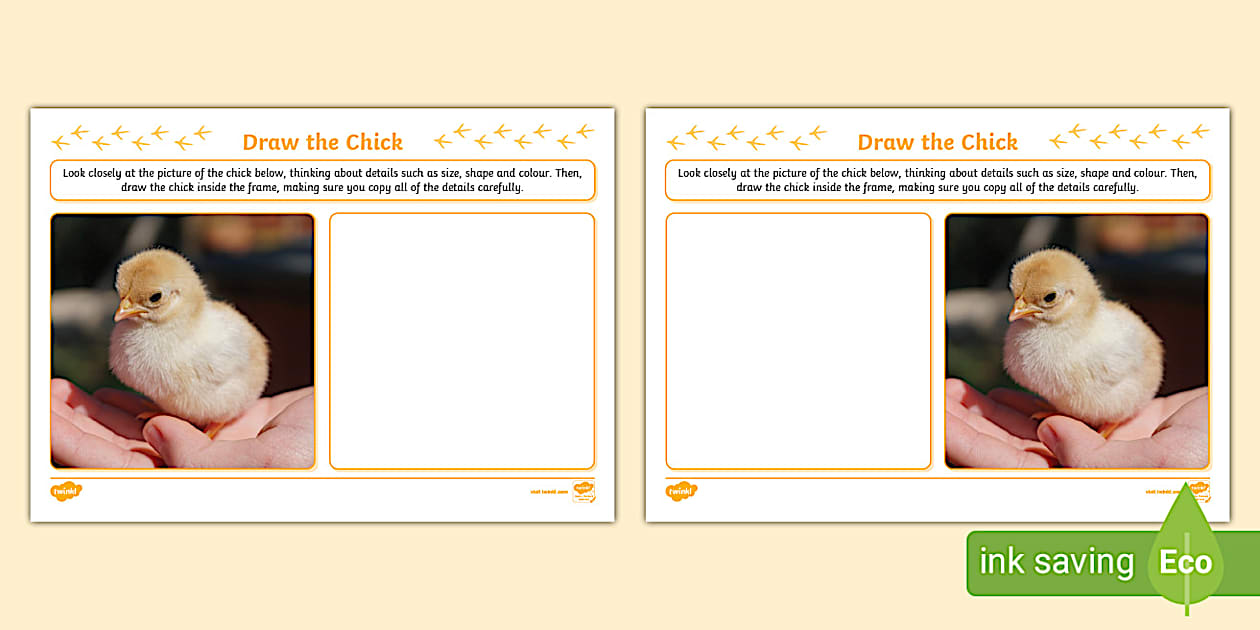 Draw the Chick Art Activity (teacher made) - Twinkl