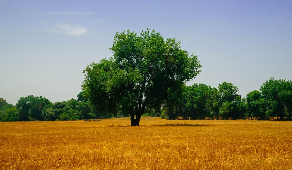 UK Heatwave - Twinkl NewsRoom - Twinkl