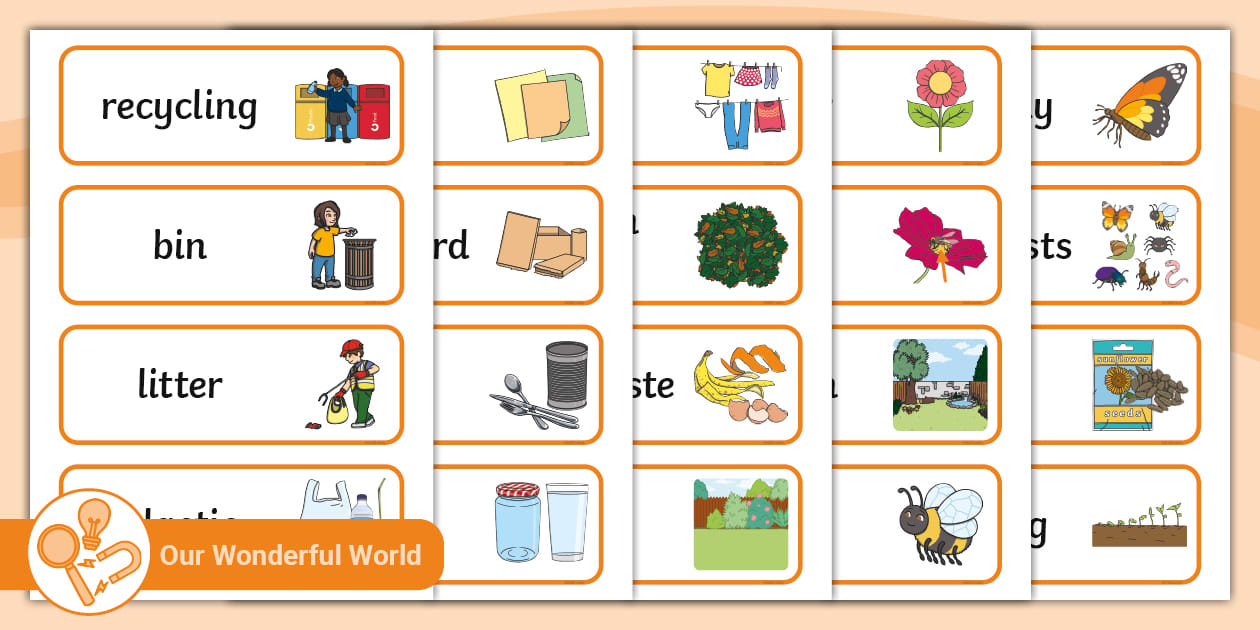 EYFS 'Our Wonderful World' Vocabulary Cards | Twinkl